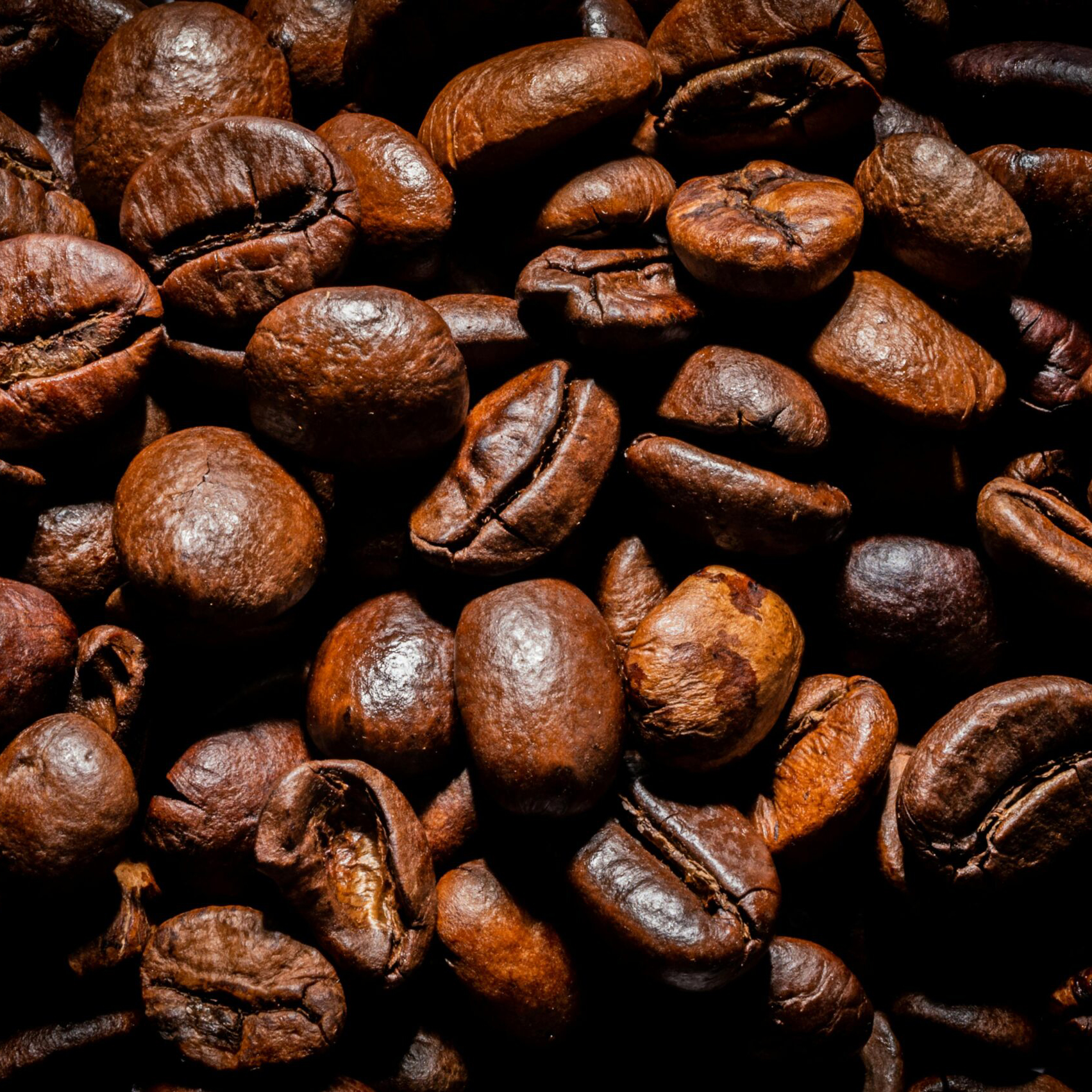Ceylon Arabica Coffee - Cinnamorra